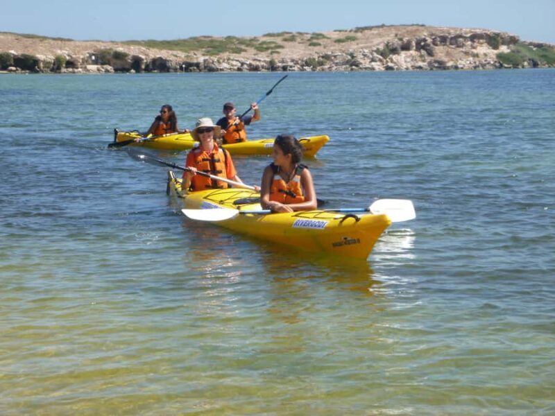 From Perth: Rockingham Seal & Penguin Islands Sea Kayak Tour - The Value and Practical Aspects