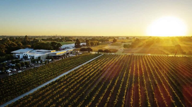 From Perth: Swan Valley Cruise, Winery, Cheese & Lunch - An In-Depth Look at the Experience