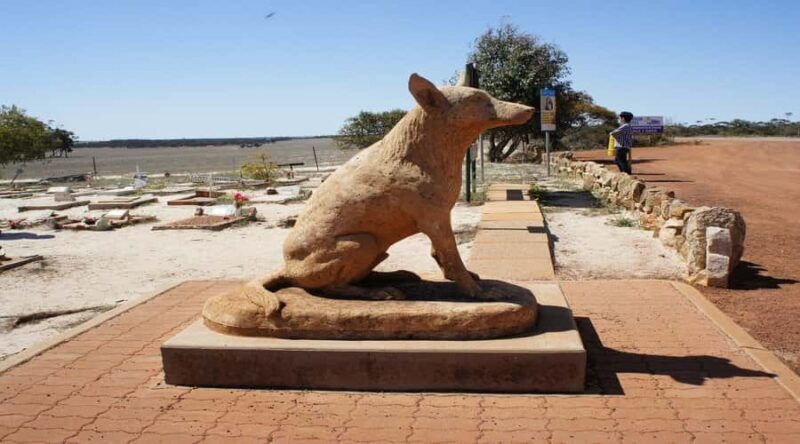 From Perth: Wave Rock and York Cultural Tour with a Guide - Key Points