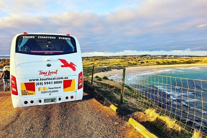 From Phillip Island: Wine and Wildlife Tour with Penguin Parade - An in-depth review of the Phillip Island: Wine and Wildlife Tour