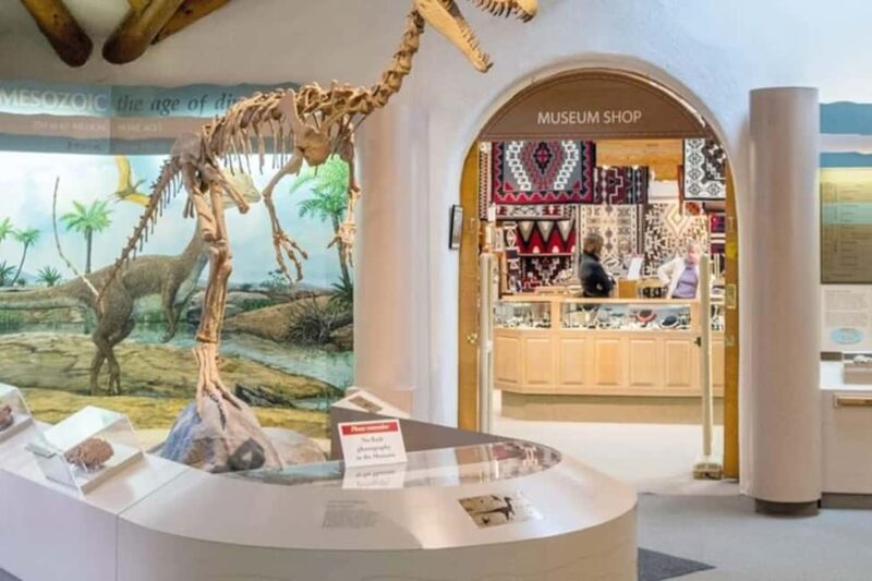 From Phoenix: Private Custom Flagstaff Day Tour - The Sum Up