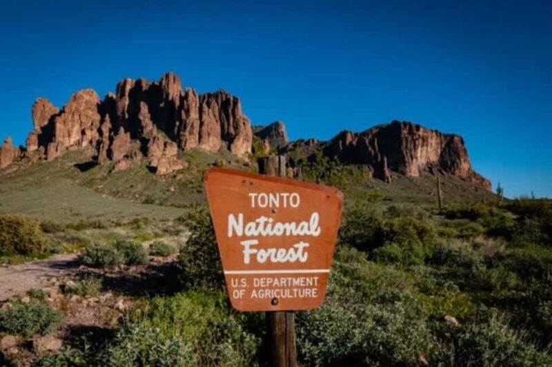 From Phoenix: Private Offroad Sonoran Desert and Sunset Tour - Key Points