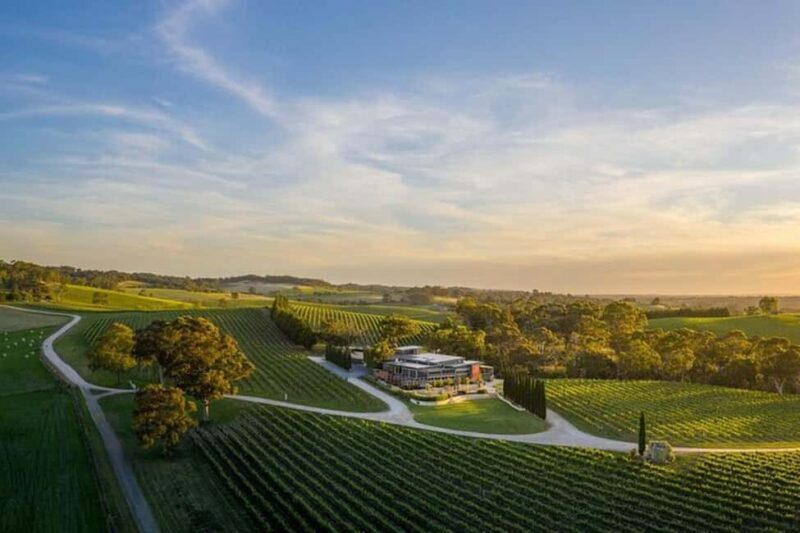 From Phoenix: Vortex to Vineyard Private Tour - Key Points