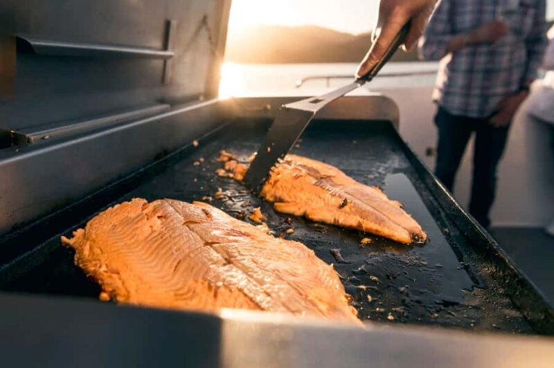 From Picton: Marlborough Sounds Cruise with Seafood - Who Should Consider This Tour?