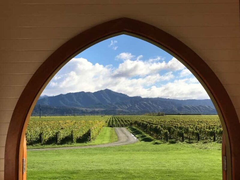 From Picton: Private Wine and Gourmet Tour of Marlborough - An In-Depth Look at the Marlborough Private Tour