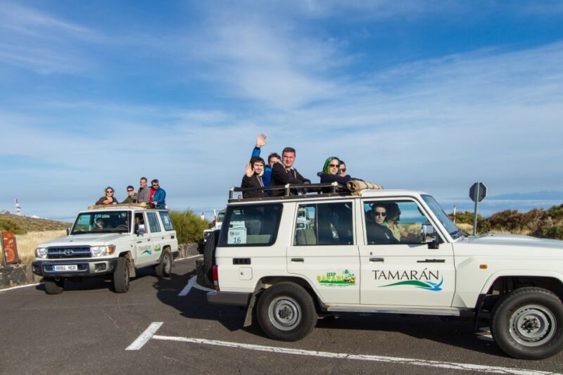 From Playa de las América: Half-Day Jeep Safari Tour - Key Points