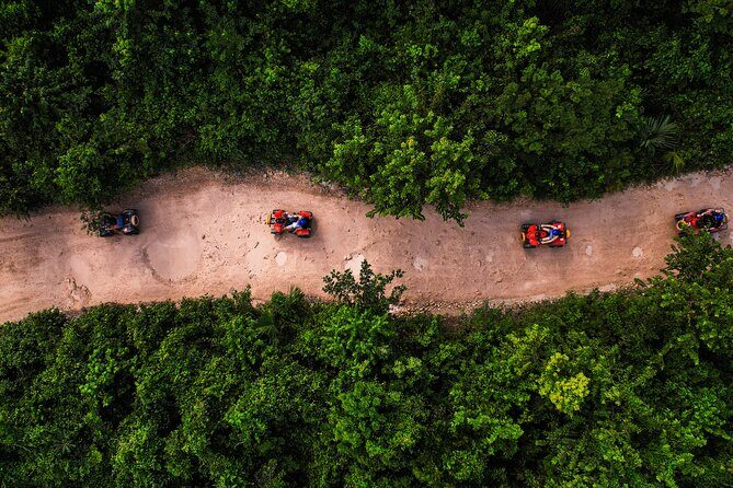 From Playa del Carmen ATV Adventure with Ziplines, Cenote - What to Expect from Your Playa del Carmen ATV Adventure