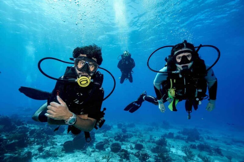 From Playa del Carmen: Cozumel Diving Adventure - Key Points