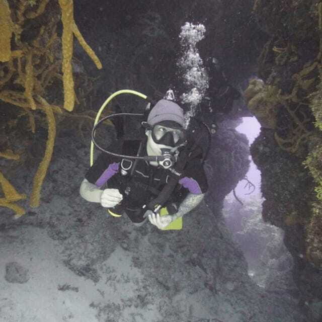 From Playa del Carmen: Cozumel Diving Adventure - The Sum Up