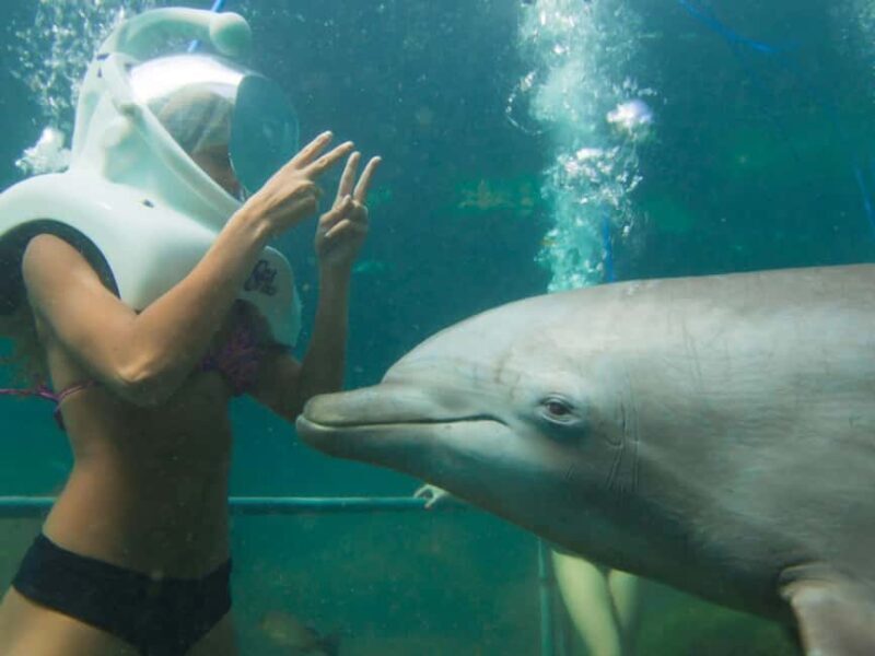 From Playa del Carmen: Xel-Há All-Inclusive Park - Practical Details and Logistics