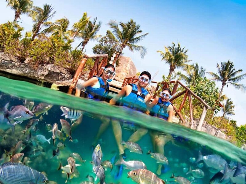 From Playa del Carmen: Xel-Há All-Inclusive Park - Final Thoughts: Who Will Love This Tour?