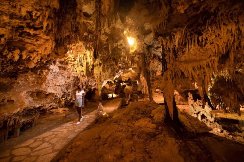 From Playa del Carmen: Xplor Park Admission, Full Day - Accessibility and Restrictions