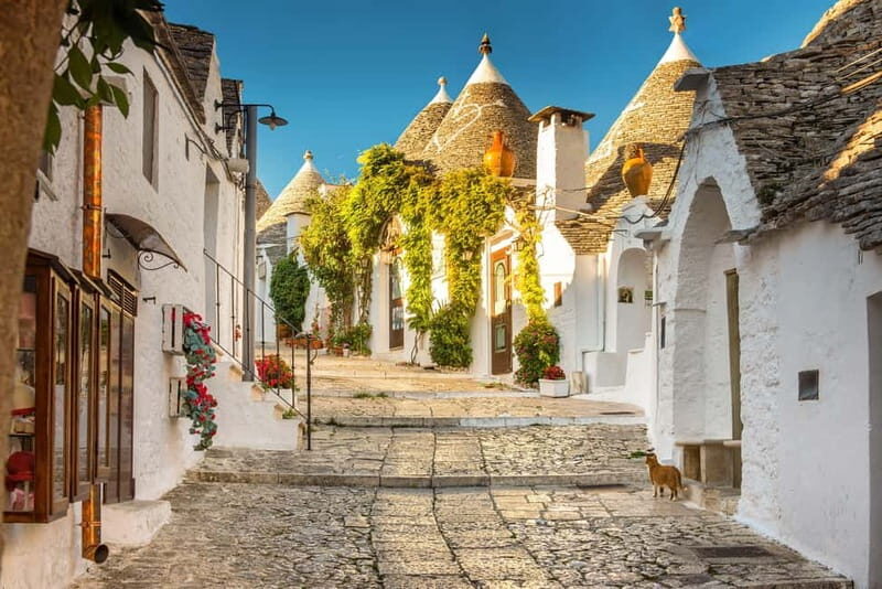 From Polignano a Mare: Guided Tour of Alberobello - The Charm of Alberobello’s Trulli Houses