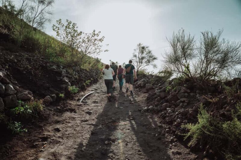 From Pompeii: Mount Vesuvius Guided Tour with Transfer - The Value for Money