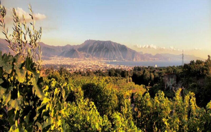 From Pompeii: Mount Vesuvius Wine Tasting and Lunch - What Past Guests Say
