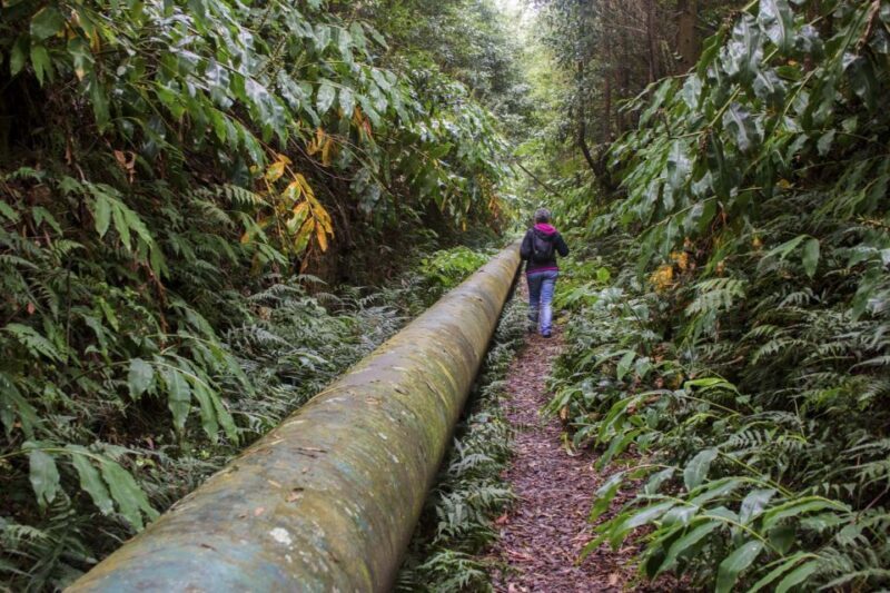 From Ponta Delgada: Guided Walking Tour to Salto do Cabrito - The Itinerary in Detail