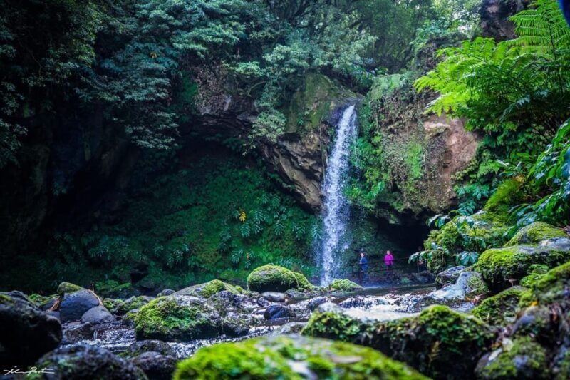 From Ponta Delgada: Hiking Moinho do Félix - Authentic Insights from Reviewers