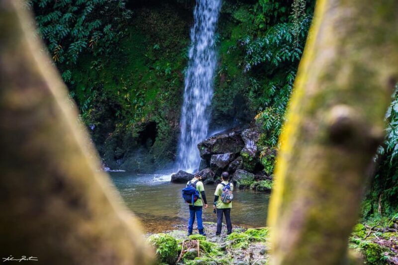 From Ponta Delgada: Hiking Moinho do Félix - Practical Information