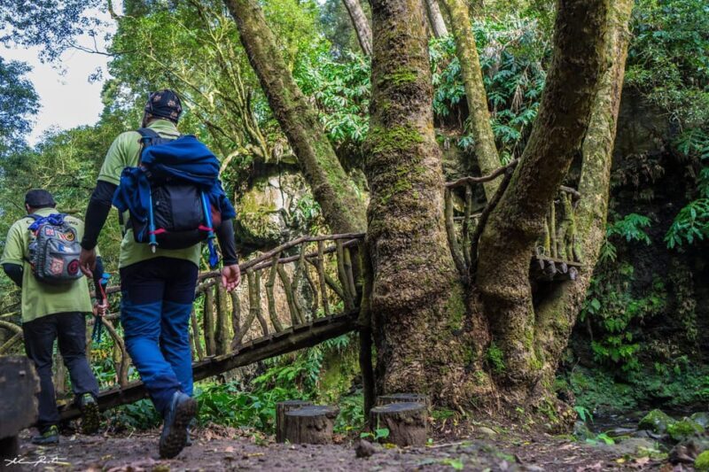 From Ponta Delgada: Hiking Moinho do Félix - Final Thoughts