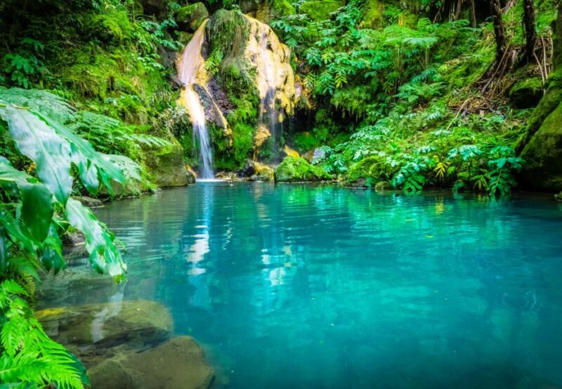 From Ponta Delgada: Lagoa do Fogo & Hot Springs Day Trip - Who This Tour Is Best For