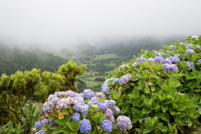 From Ponta Delgada: Vista do Rei to Sete Cidades Guided Trek - A Close Look at the Itinerary