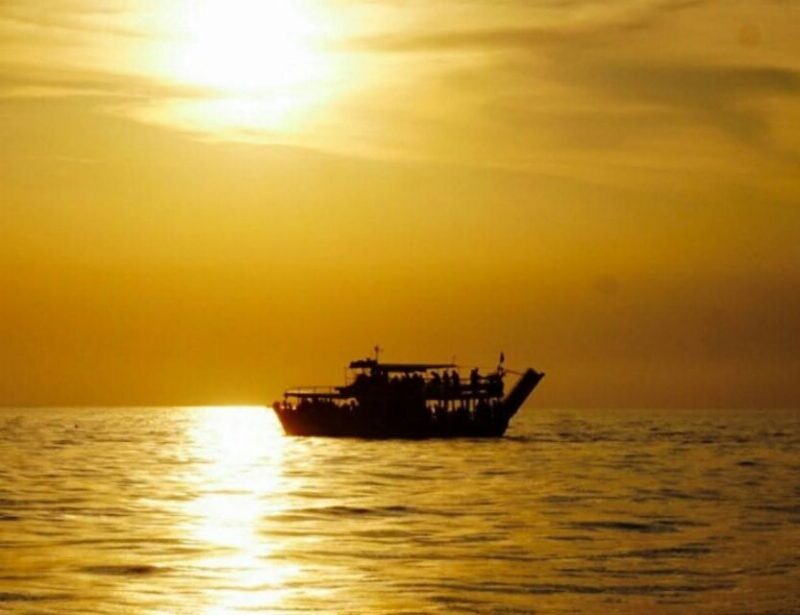 From Pore: Evening Dolphin Cruise with Welcome Drink - What To Expect on the Pore Dolphin Cruise