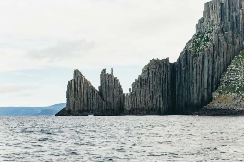 From Port Arthur: Tasman Island Wilderness Cruise - FAQ