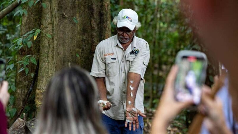 From Port Douglas: Daintree Rainforest & Mossman Gorge Tour - An In-Depth Look at the Experience