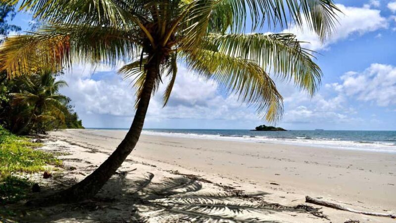 From Port Douglas: Daintree Rainforest & Mossman Gorge Tour - FAQ