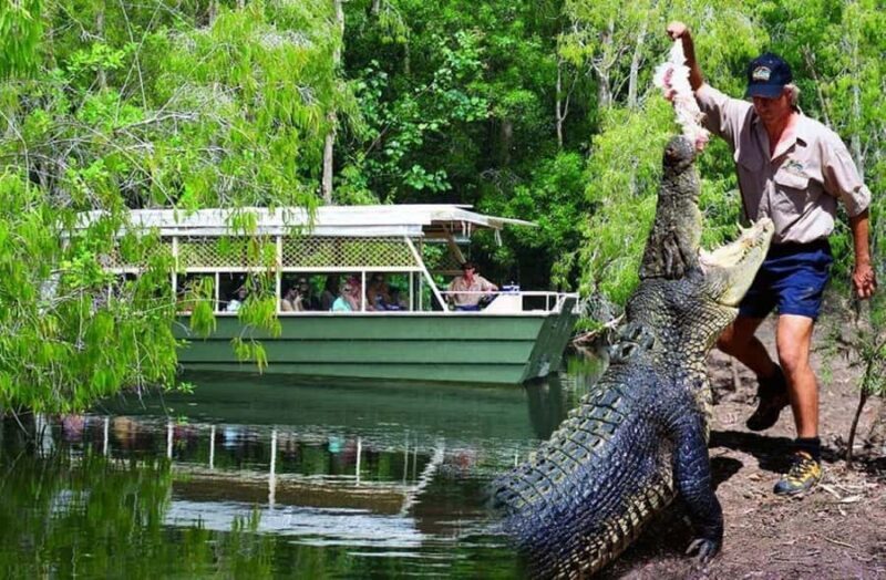 From Port Douglas: Hartley's Crocodile Park, Skyrail & Train - Frequently Asked Questions