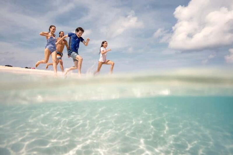 From Port Douglas: Outer Reef Cruise by Luxury Catamaran - Key Points  