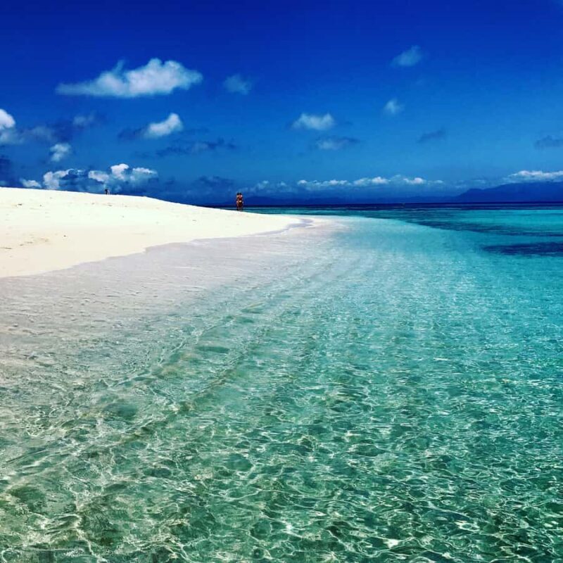 From Port Douglas: Outer Reef Cruise by Luxury Catamaran - Pricing and Value