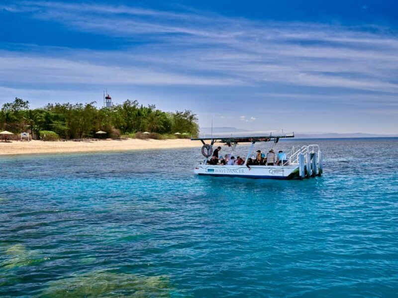 From Port Douglas: Sail to Low Isles Great Barrier Reef - Authentic Experiences from Reviewers