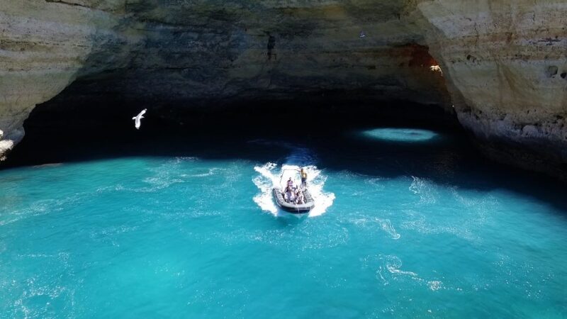 From Portimao: Benagil Cave and Marinha Beach Boat Tour - Who Will Love This Tour?