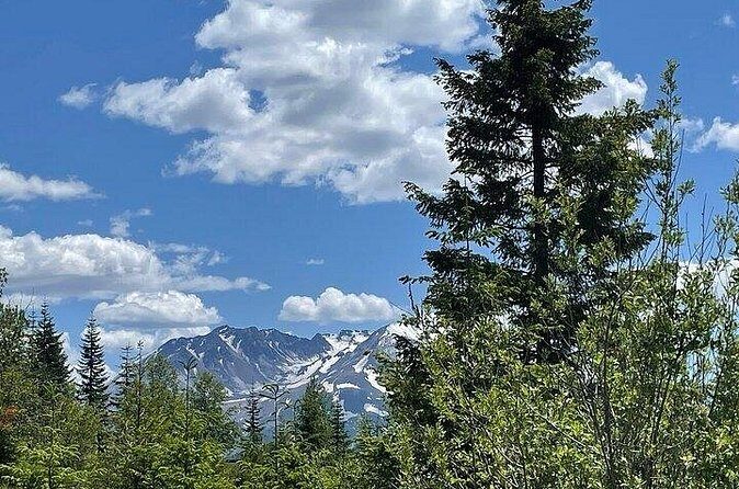 From Portland to Mt. Saint Helen Tour in a Small Group - Authentic Experiences & Insights