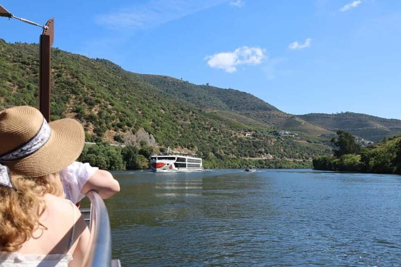 From Porto: 2 Boutique Wineries w/ Winery Lunch & 1-h cruise - A Deep Dive into the Douro Valley Small-Group Tour