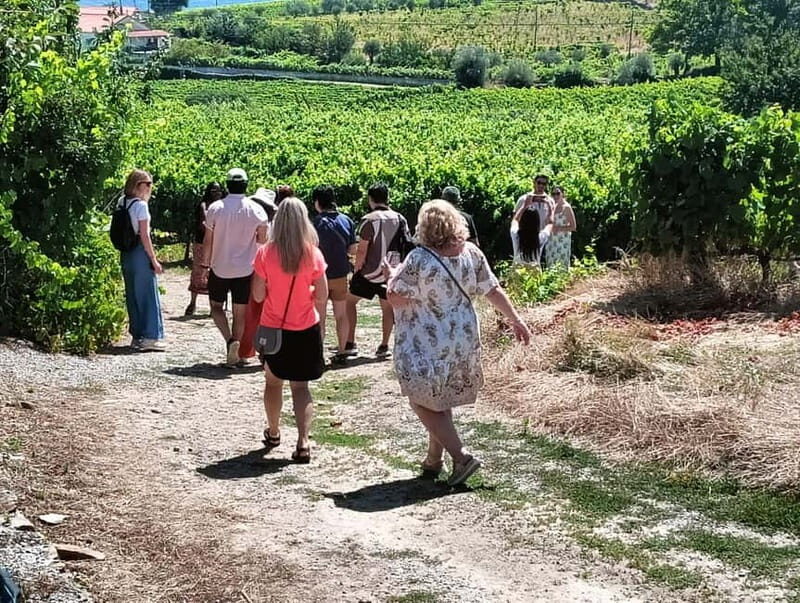 From Porto: 2 Wine Regions, Farm Lunch, and Boat Ride - Key Points