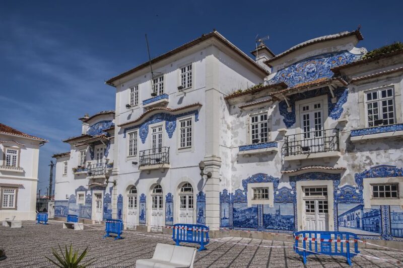 From Porto: Aveiro and Coimbra Private Tour - Who Will Love This Tour?