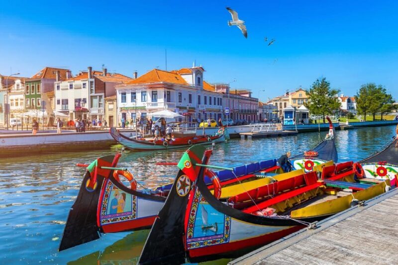 From Porto: Aveiro Half Day Tour - Final Thoughts
