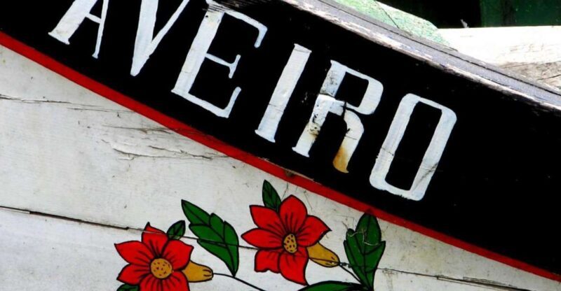 From Porto: Aveiro Half-Day Tour with 1-Hour Cruise - Who Should Consider This Tour?