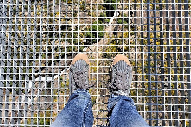 From Porto: Aveiro, Paiva Walkways, Suspension Bridge and Lunch - Who Should Consider This Tour?