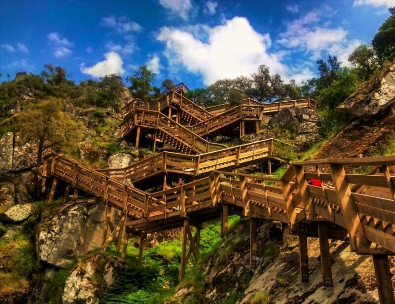 From Porto: Aveiro, Paiva Walkways, & Suspension Bridge Tour - Key Points