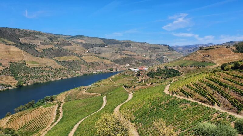 From Porto Day Douro Valley Wine Tour 2 Wine Tasting & Lunch - Final Legs and Return to Porto