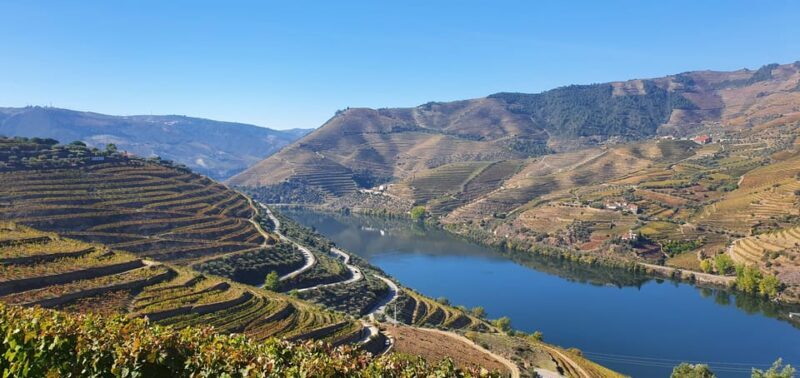 From Porto Day Douro Valley Wine Tour 2 Wine Tasting & Lunch - The Sum Up