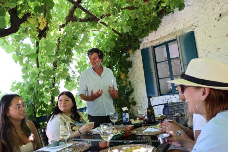 From Porto : Douro Valley sightseeing with 1 Winery Visit - In-Depth Look at the Itinerary and Experience
