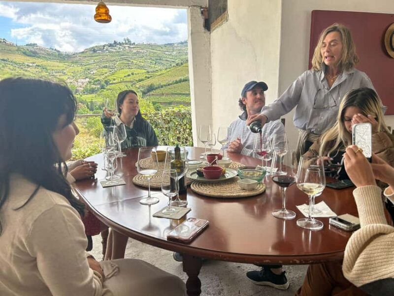 From Porto : Douro Valley sightseeing with 1 Winery Visit - Practical Details and Value