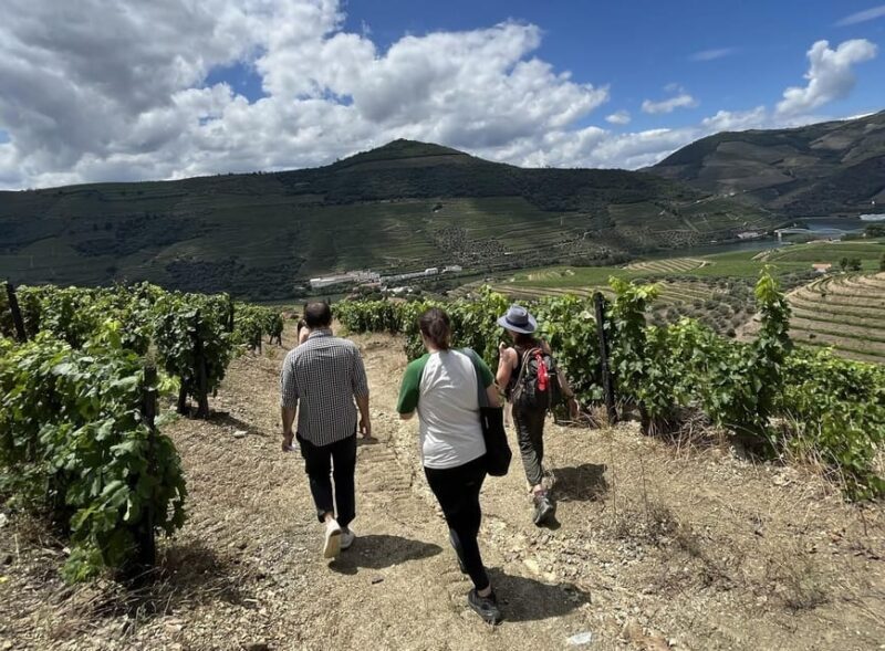 From Porto : Douro Valley sightseeing with 1 Winery Visit - Who Is This Tour Best For?