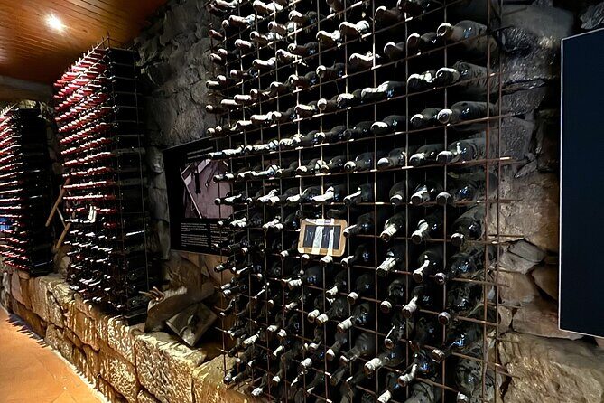 From Porto: Douro Valley Tour with 2 Wineries, Lunch and Cruise - Final Thoughts