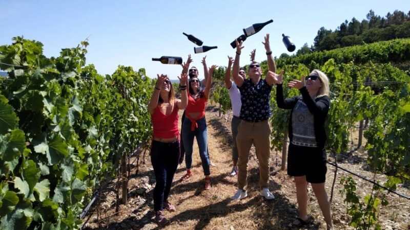 From Porto: Douro Valley Tour with Tastings, Boat & Lunch - Key Points