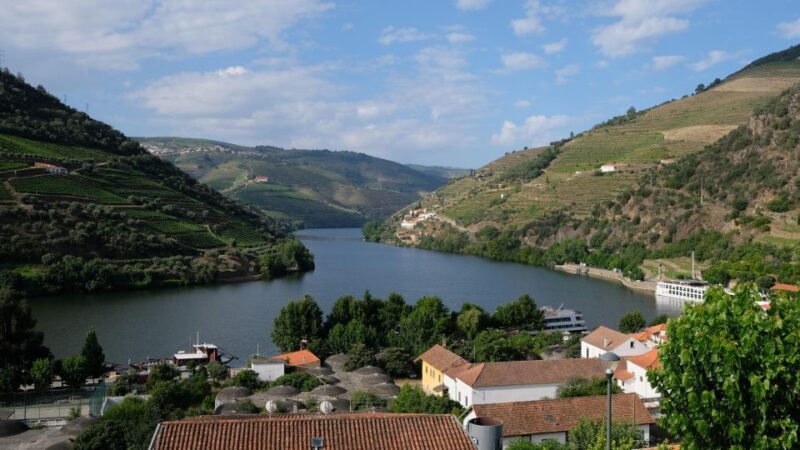 From Porto: Douro Valley Tour with Tastings, Boat & Lunch - Who Is This Tour Best For?